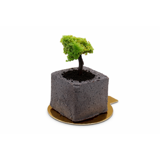 Bonsai – Daan Go Cake Lab | Vancouver