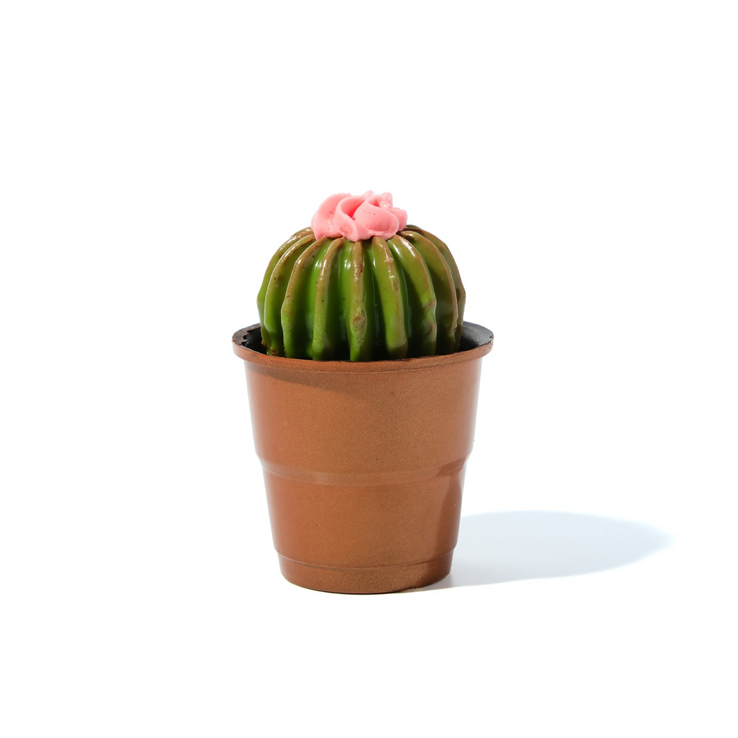 Mini Cakes & Slices | Daan Go Cake Lab Vancouver – Daan Go Cake Lab ...